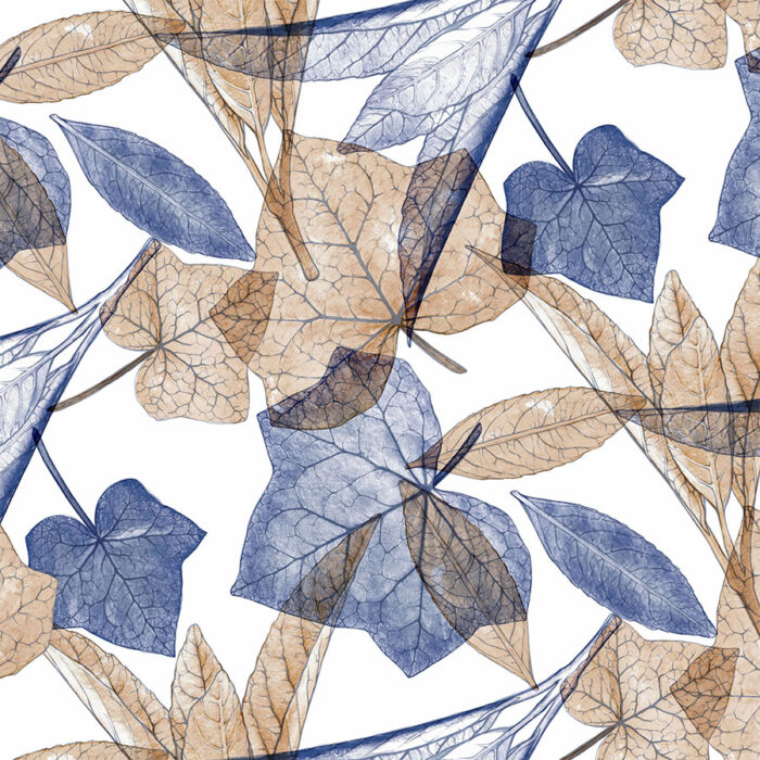 Leaf Veins - Karolful